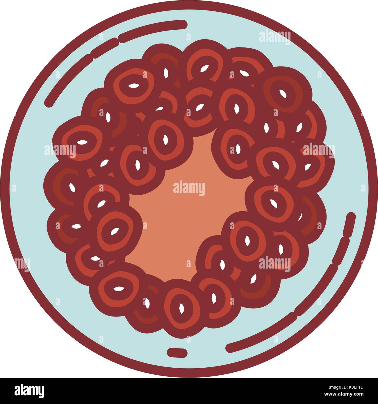 color silhouette with thick contour of front view division of the ovule ...