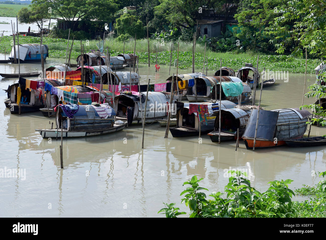 DHAKA, BANGLADESH – AUGUST 19, 2017: A bunch of narrow boats floating ...