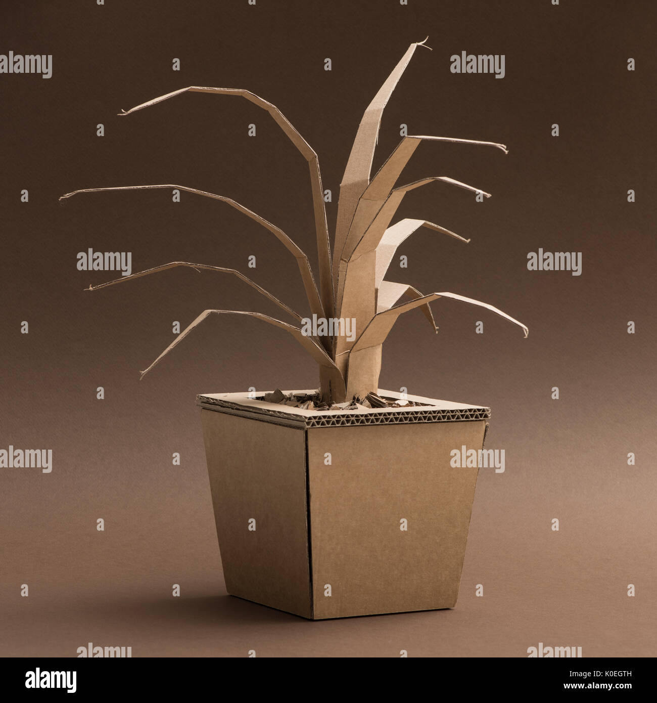 Recycled material pot hi-res stock photography and images - Alamy