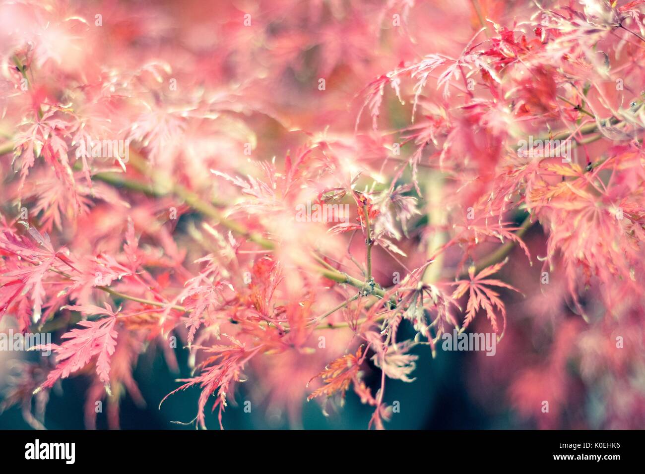 Undergraduate hi-res stock photography and images - Alamy