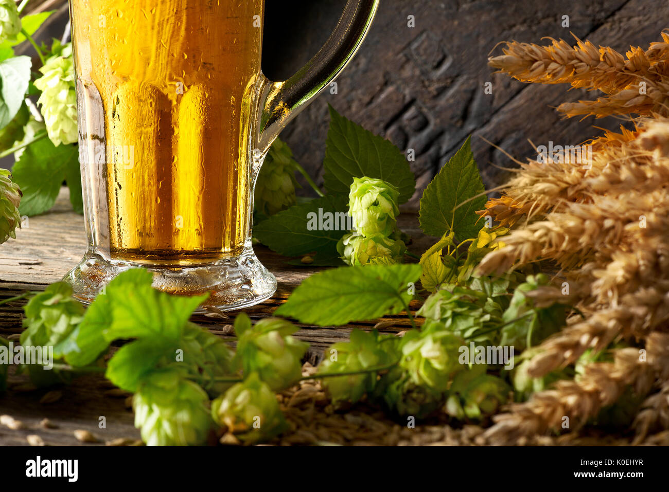 Beer glass pint alcohol hop hops barley hi-res stock photography and ...