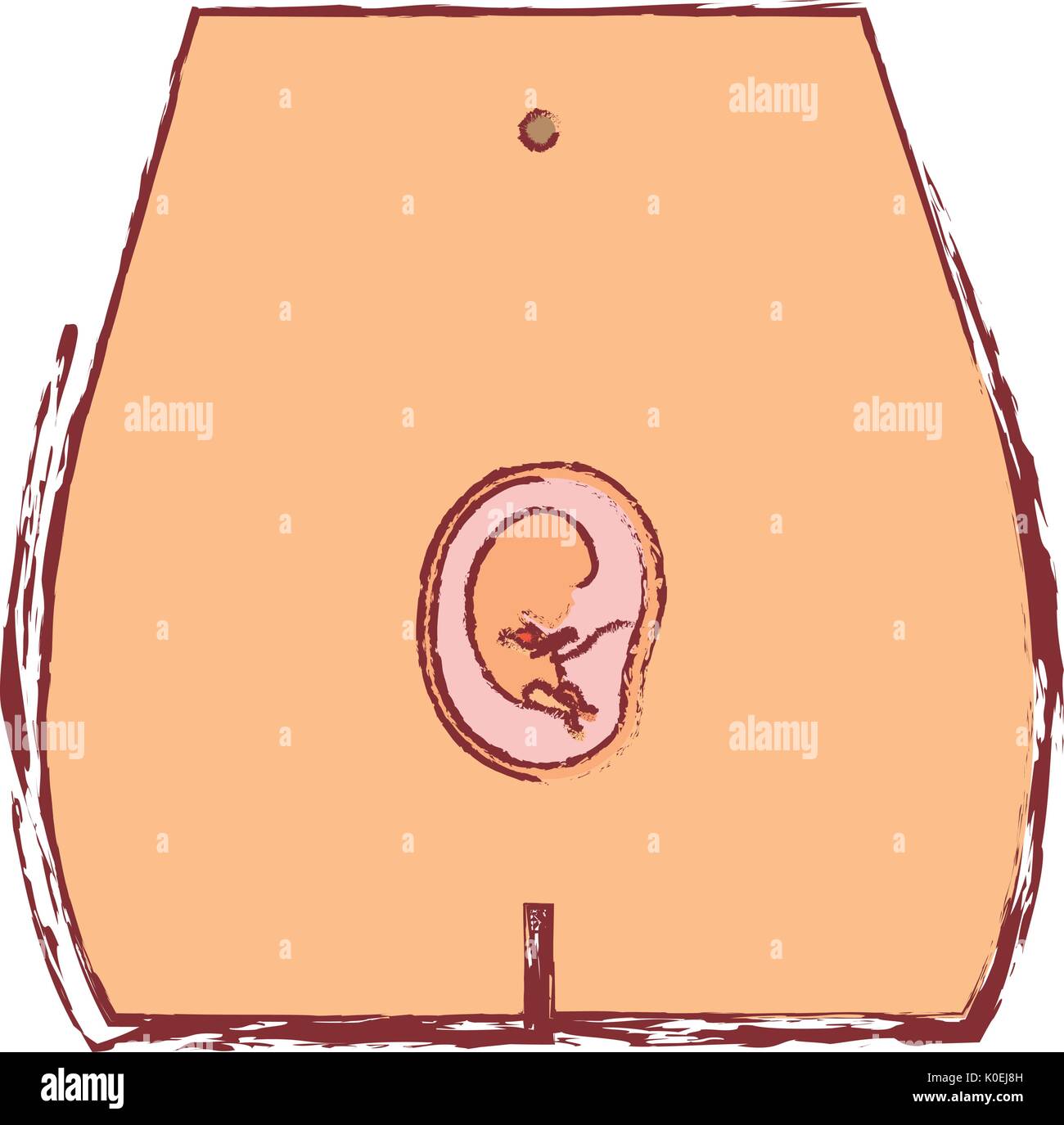 color blurred silhouette of front view pregnancy process in female body ...