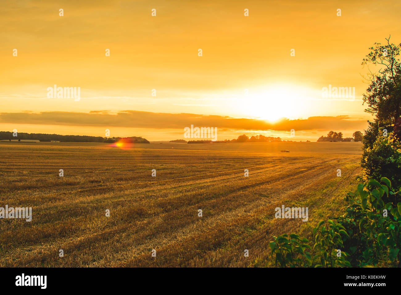 Hayfield sunrise hi-res stock photography and images - Alamy
