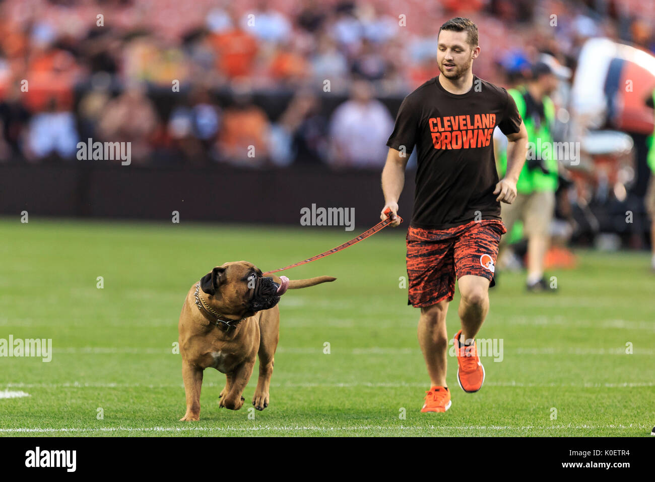August 21, 2017: Cleveland Browns mascot ''Swagger'' performs during ...