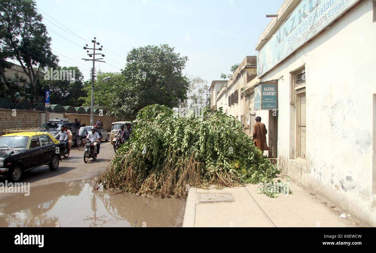 Tree seen fallen down after heavy downpour and wind, nearby Pakistan ...