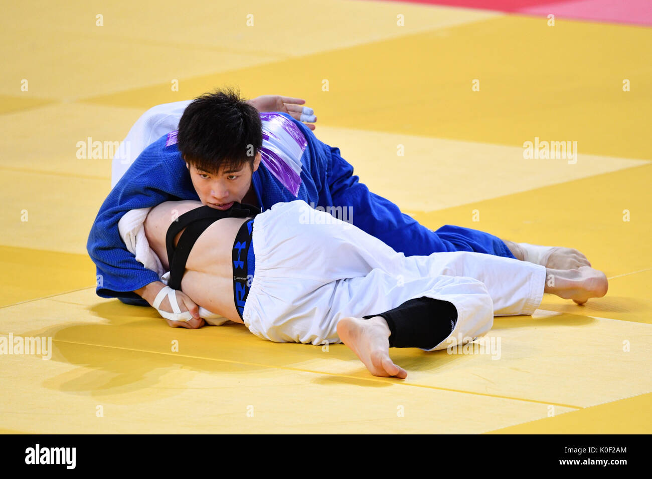 Zhubei, Taiwan. 23rd Aug, 2017. Taiko Fujisaka (JPN) Judo : The 29th ...