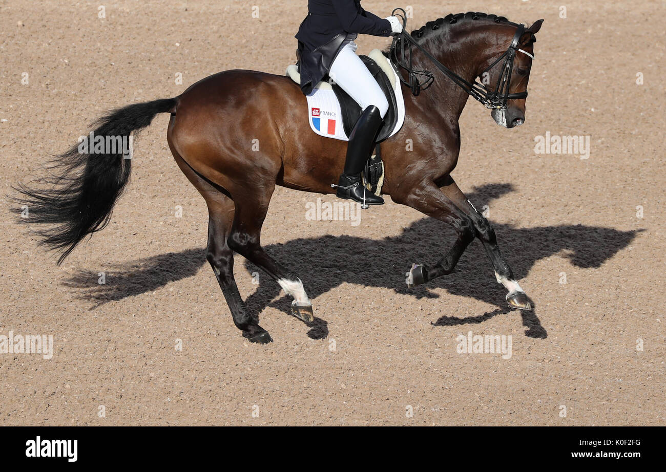 French dressage rider Ludovic Henry on the horse After You pictured ...