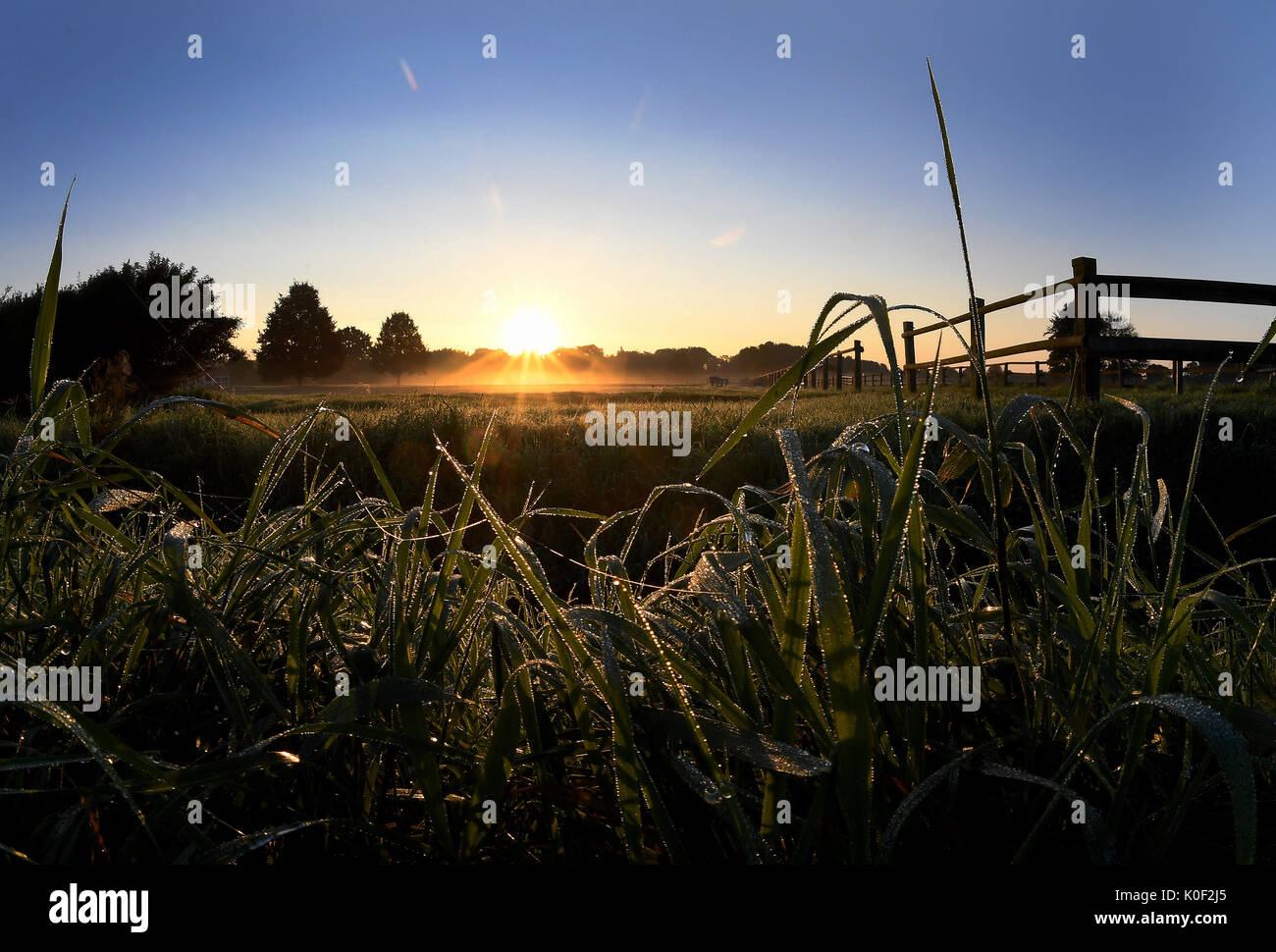 dpatop - The sun rising over a field near Isernhagen, Germany, 23 ...