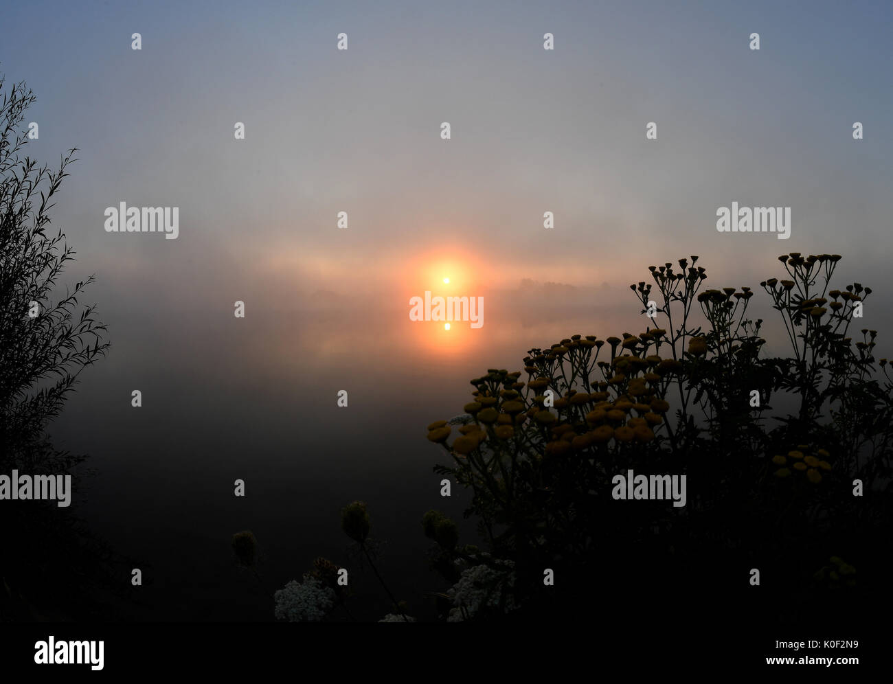 The sun rising over a lake with fog near Isernhagen, Germany, 23 August ...