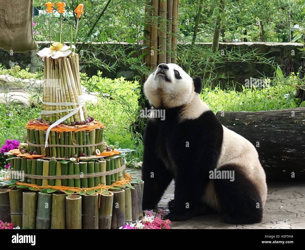 Simple bao hi-res stock photography and images - Alamy