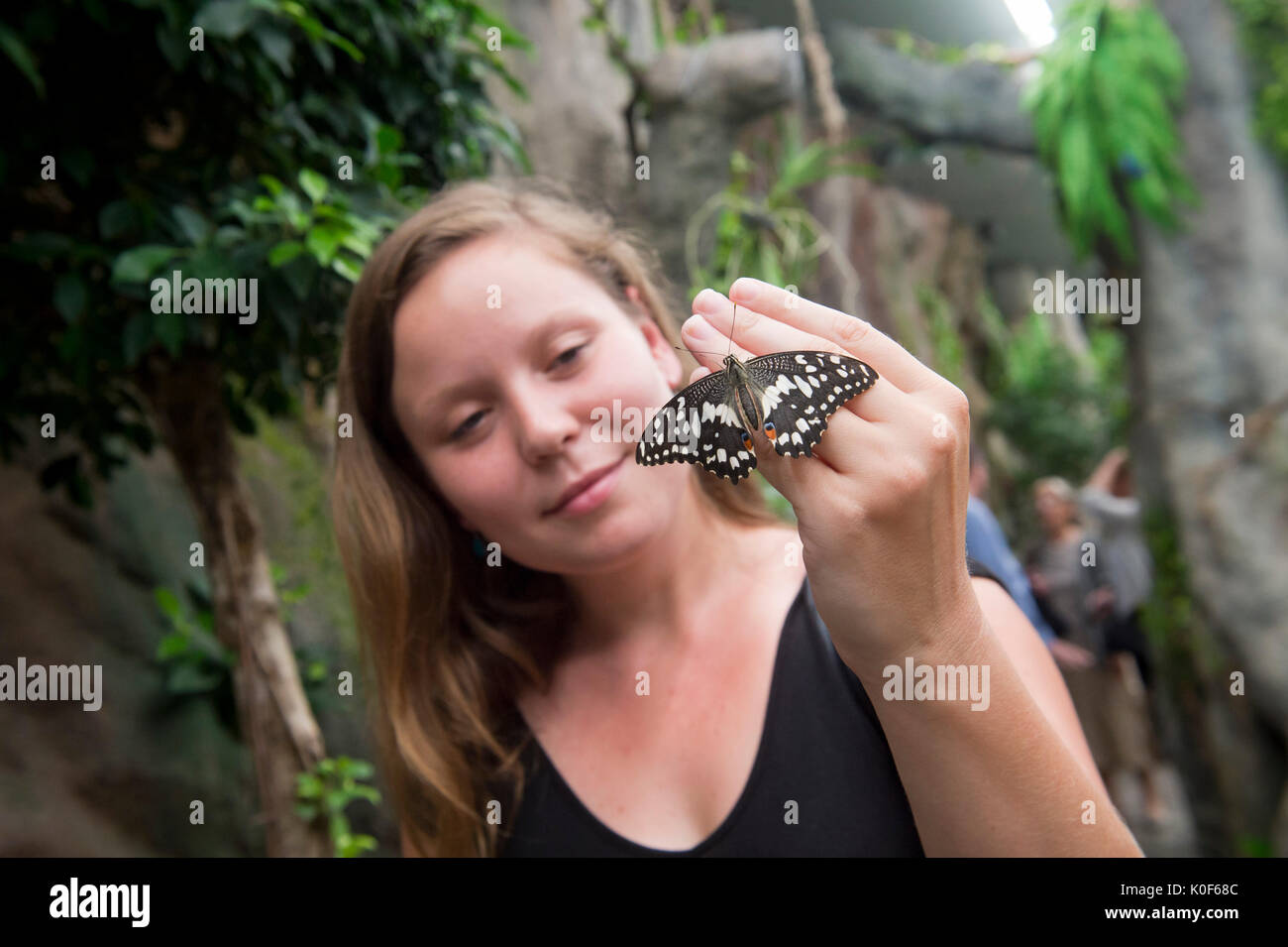Prague, Czech Republic. 23rd Aug, 2017. Papilonia Butterfly House ...