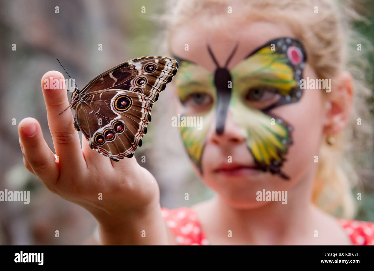 Prague, Czech Republic. 23rd Aug, 2017. Papilonia Butterfly House ...