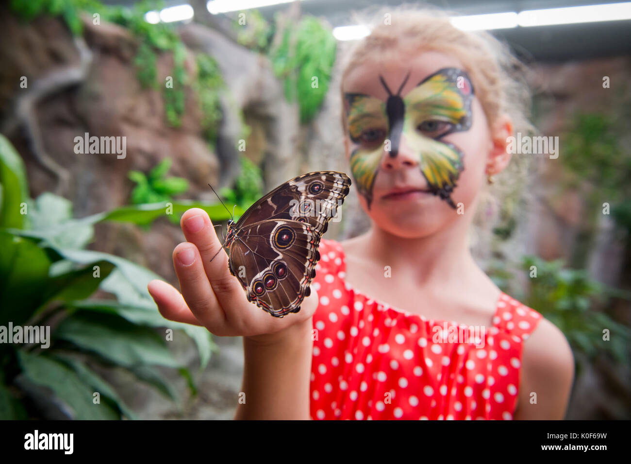 Prague, Czech Republic. 23rd Aug, 2017. Papilonia Butterfly House ...