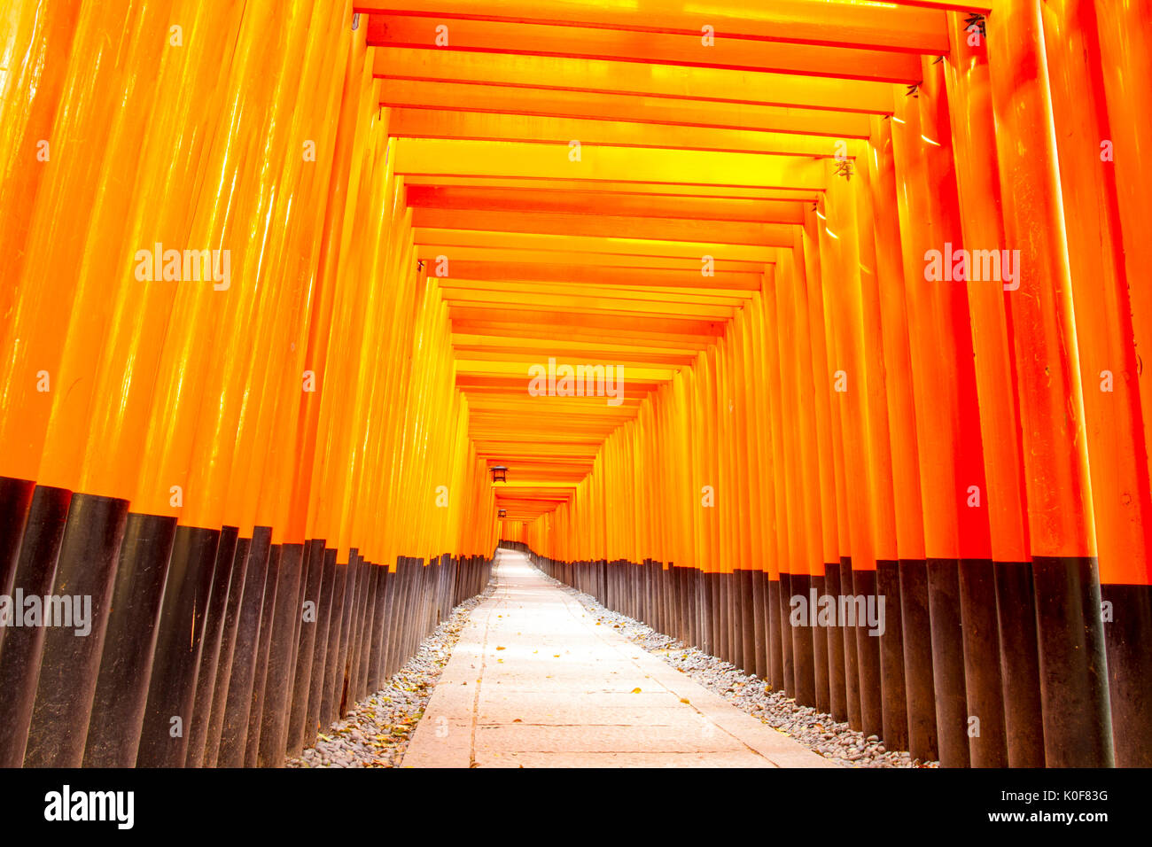 The beautiful orange color temple at Kyoto, Japan Stock Photo - Alamy