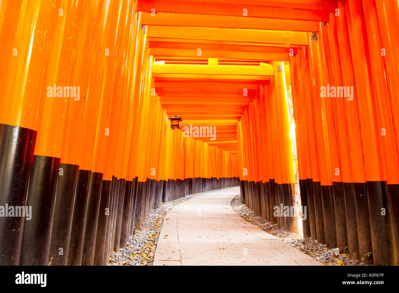 The beautiful orange color temple at Kyoto, Japan Stock Photo - Alamy