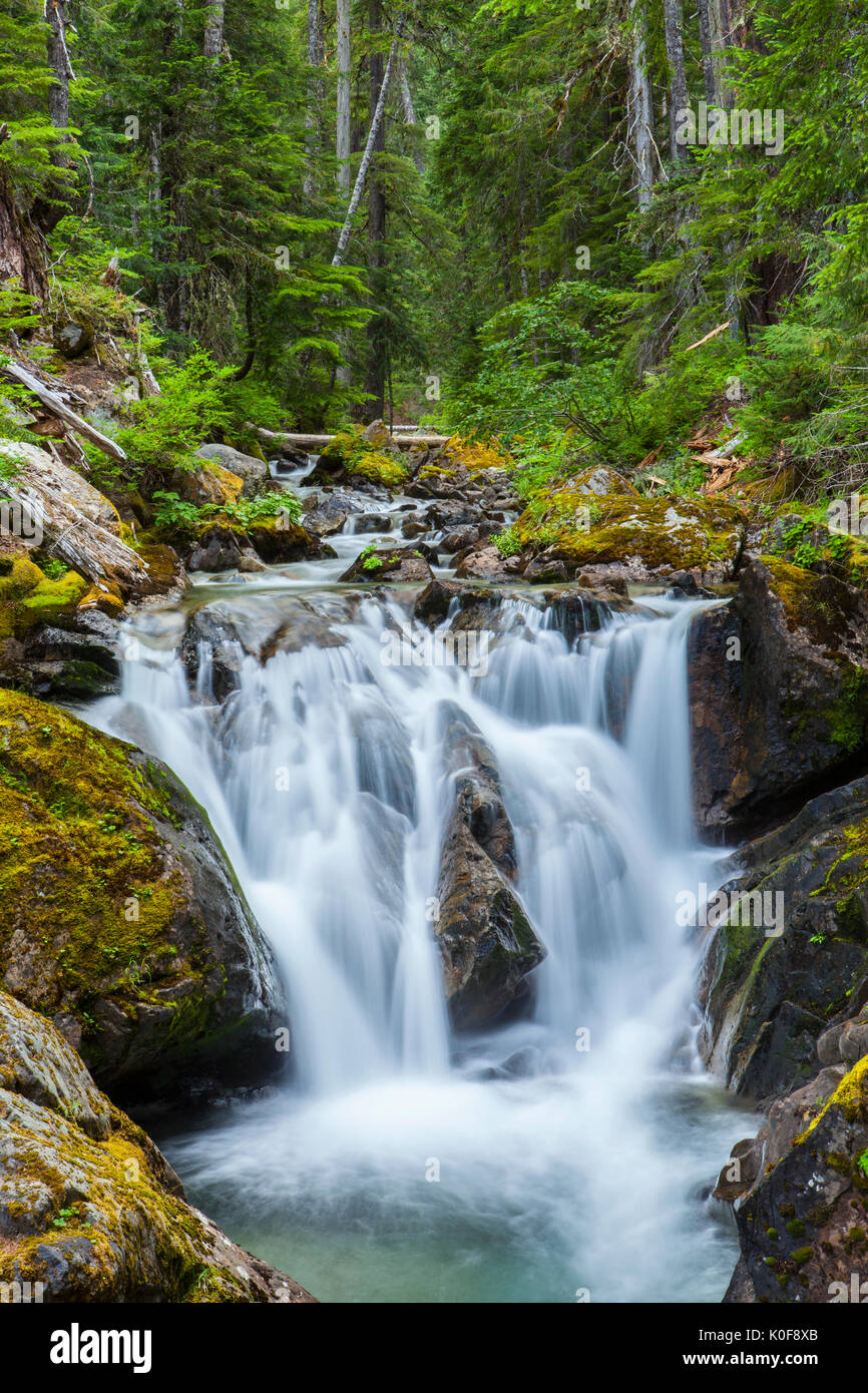 Chinook creek hi-res stock photography and images - Alamy