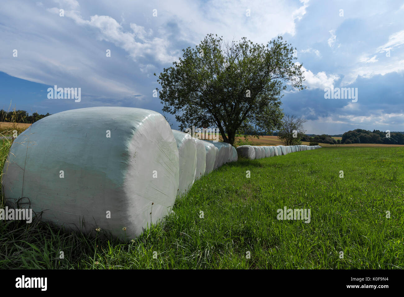 White round bales hi-res stock photography and images - Alamy