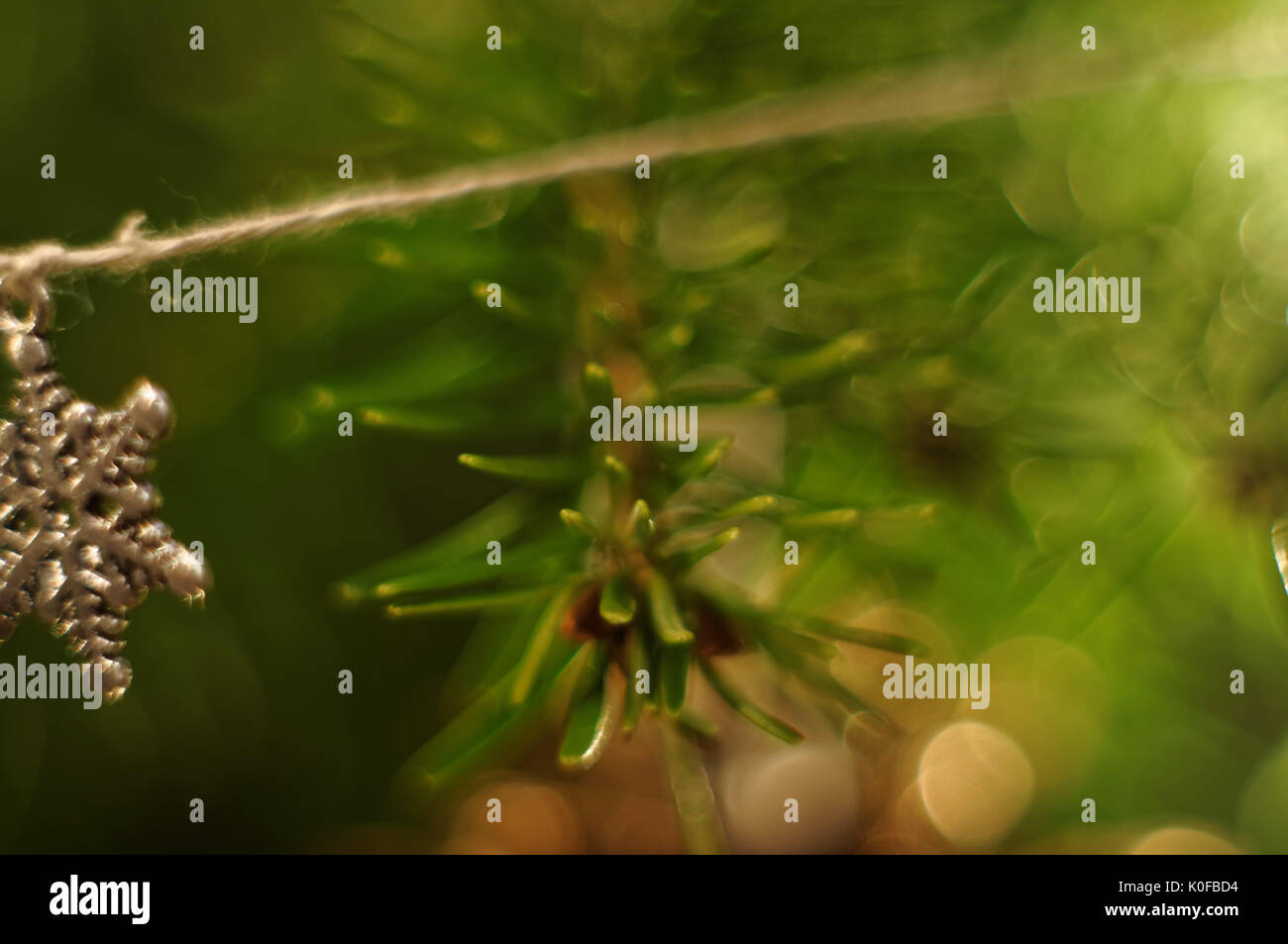 Magic Tree Car High Resolution Stock Photography and Images - Alamy