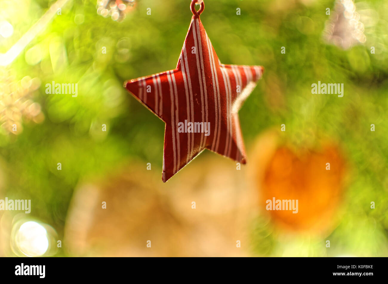 Xms tree hi-res stock photography and images - Alamy