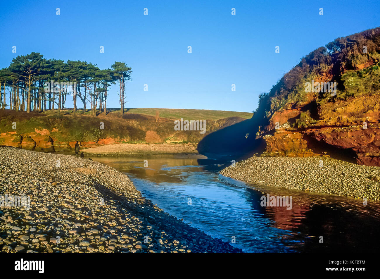 The River Otter Estuary Stock Photo - Alamy