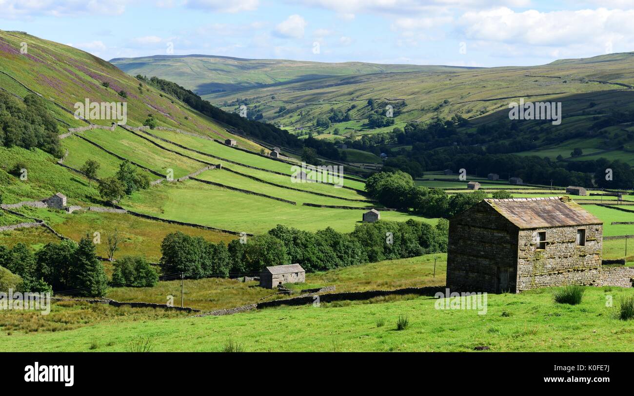 Valley in Swaledale Yorkshire Stock Photo - Alamy