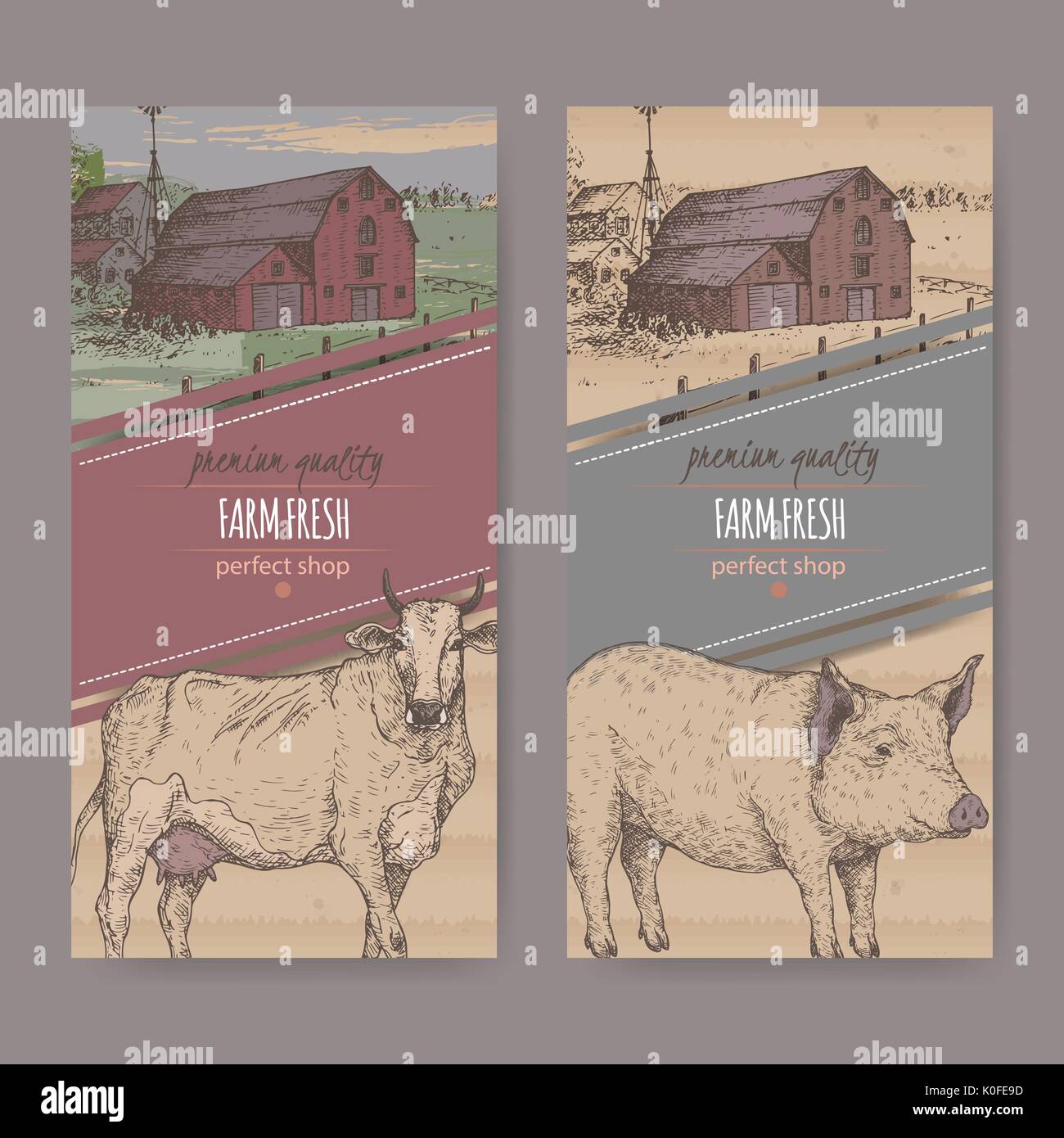 Two farm shop labels with color farmhouse, barn, cow and pig Stock ...