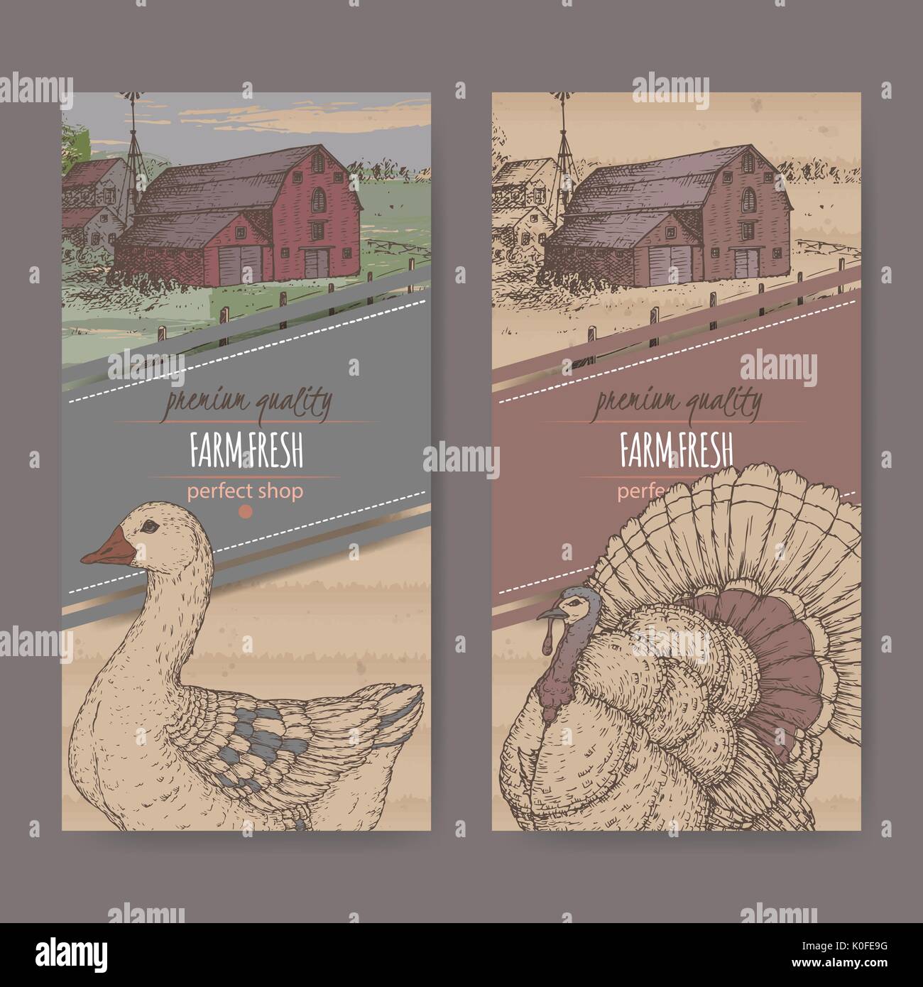 Two farm shop labels with color farmhouse, barn, goose and turkey on ...
