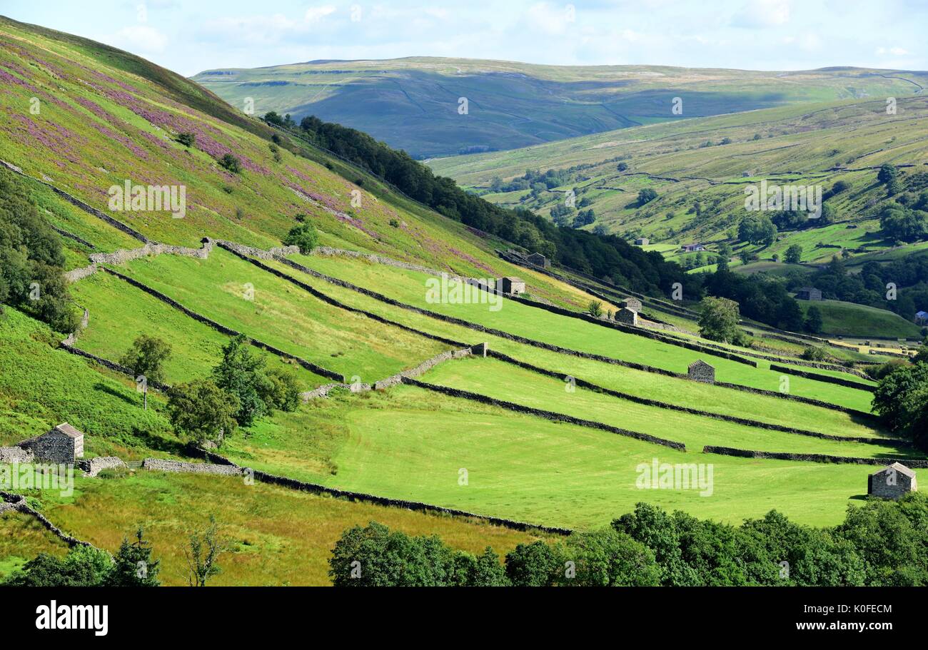 Swaledale valley yorkshire dales hi-res stock photography and images ...