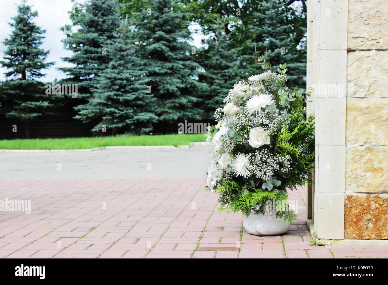 Apostles flower hi-res stock photography and images - Alamy
