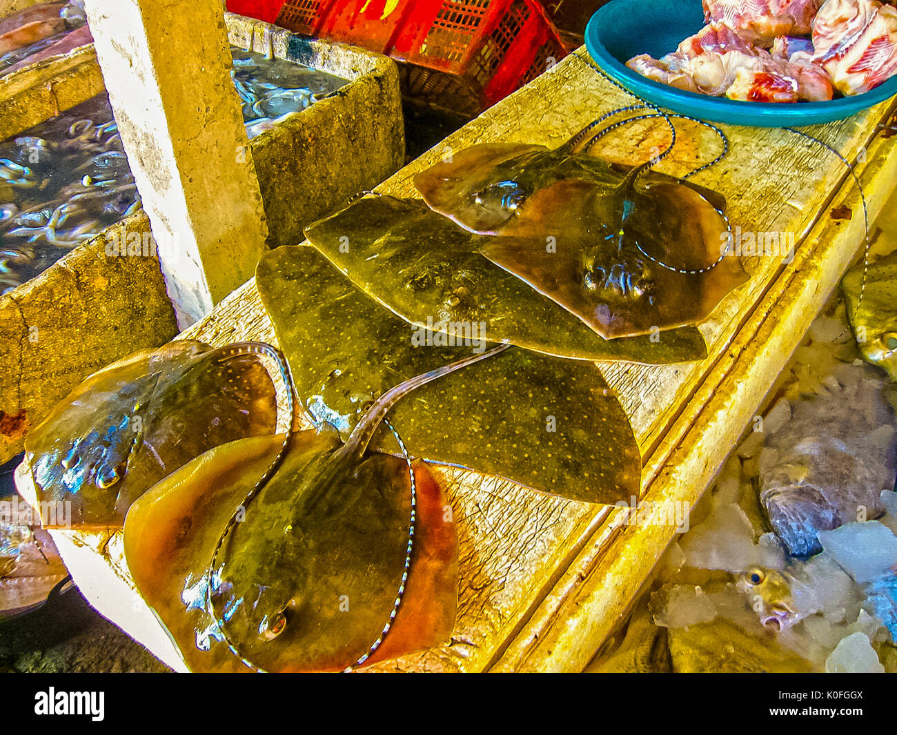 Close up of fresh stingray on open market at Bali Stock Photo - Alamy