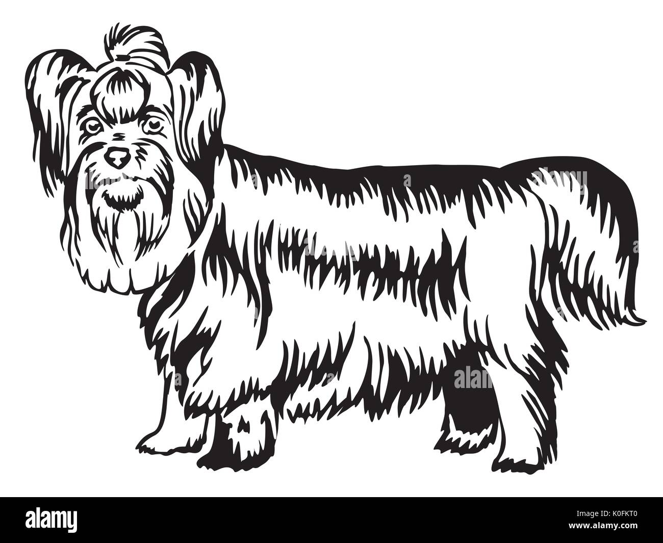 Decorative portrait of standing in profile Yorkshire Terrier, vector ...