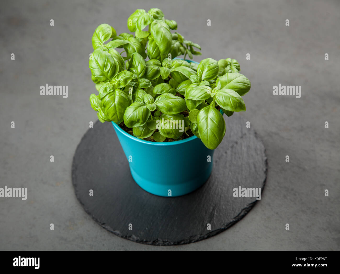 Basil background hi-res stock photography and images - Alamy