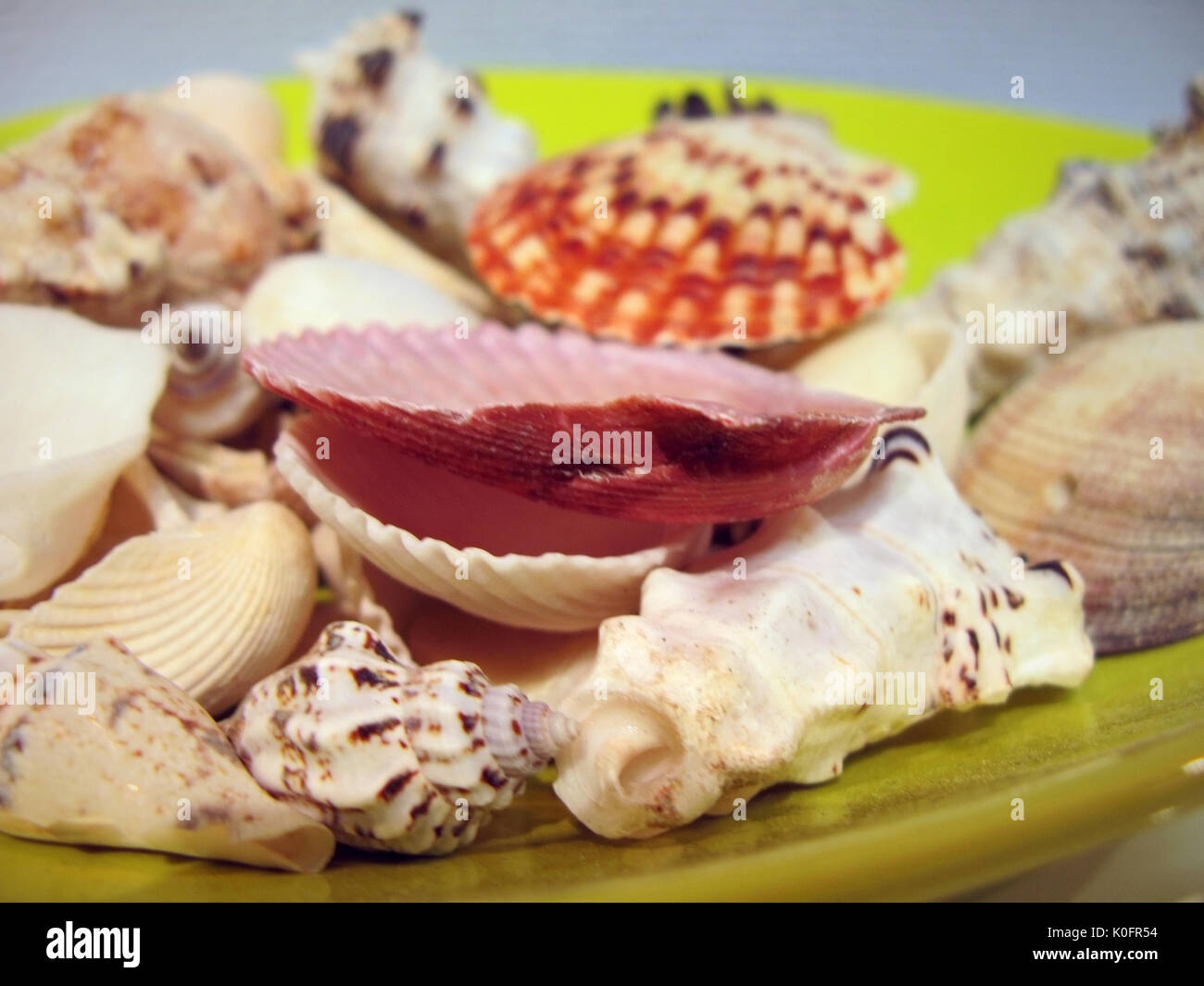 Shellfish cooking hi-res stock photography and images - Alamy