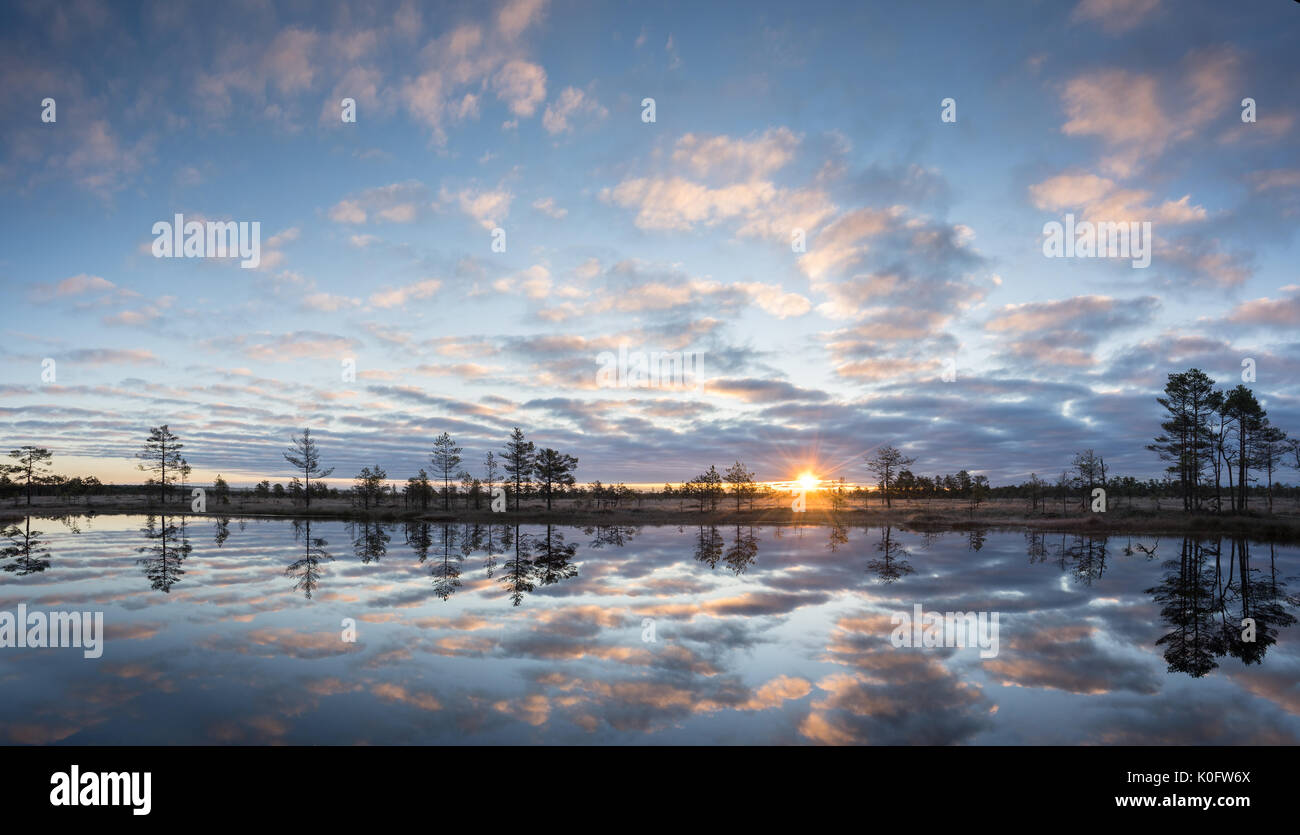Muskeg hi-res stock photography and images - Alamy