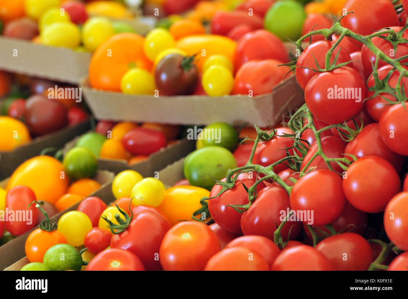 The tomato stall isle of wight hi-res stock photography and images - Alamy