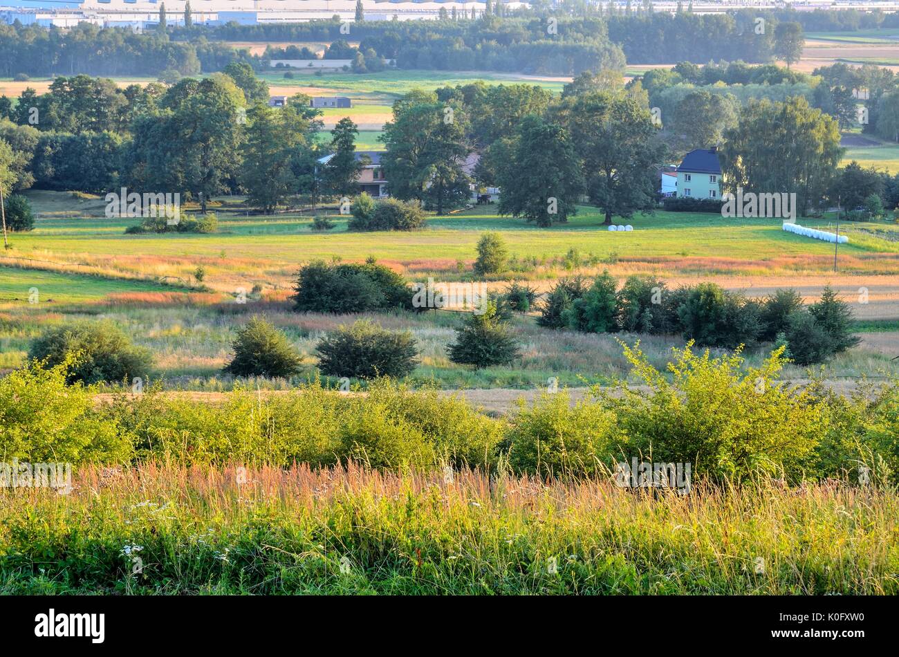 Summer rural landscape. Homes in the polish countryside Stock Photo - Alamy