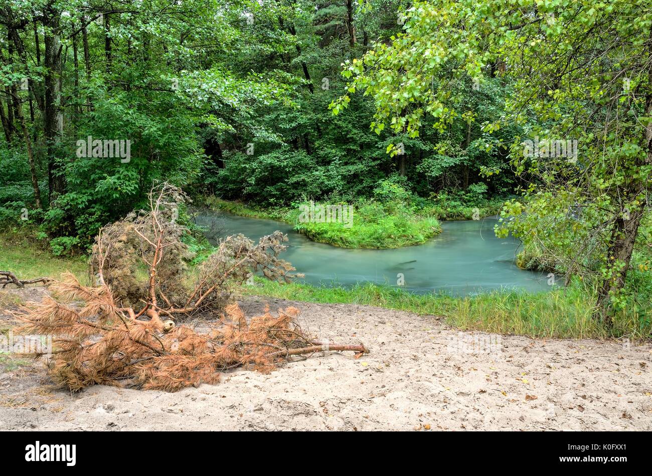 Beautiful blue river. River with beautiful water color in the green ...