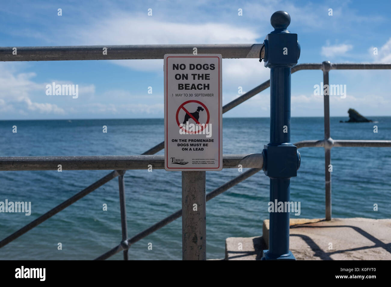 Dogs on beaches hi-res stock photography and images - Alamy