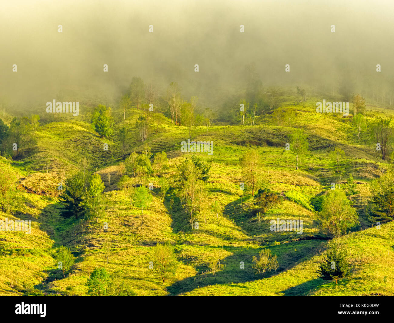 Upcountry sunset and fog on Maui Hawaii Stock Photo - Alamy