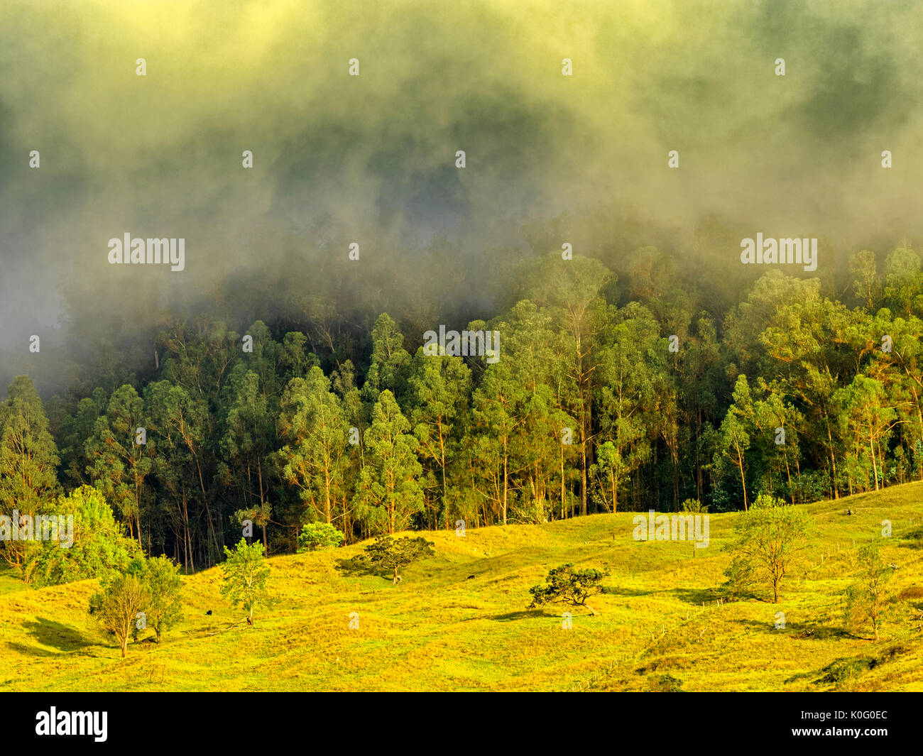Upcountry sunset and fog on Maui Hawaii Stock Photo - Alamy