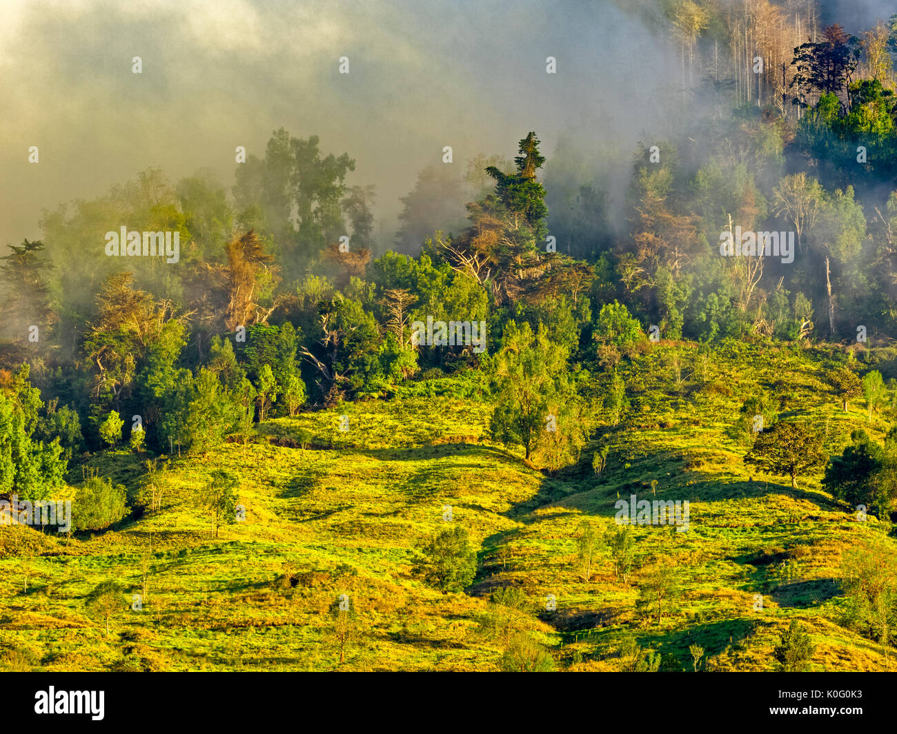 Upcountry sunset and fog on Maui Hawaii Stock Photo - Alamy