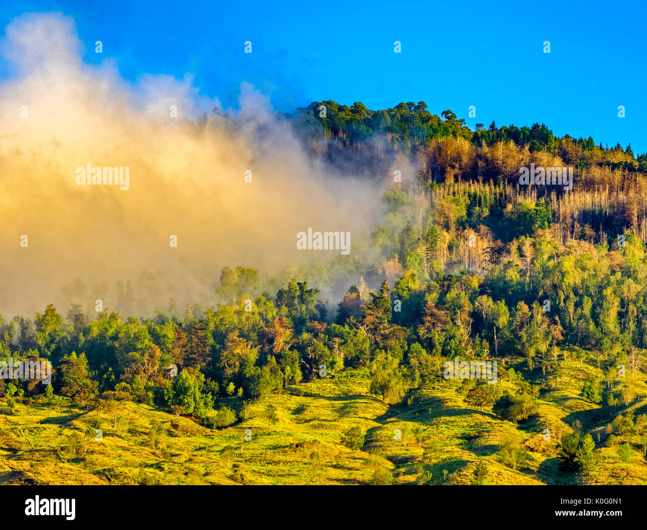 Upcountry sunset and fog on Maui Hawaii Stock Photo - Alamy