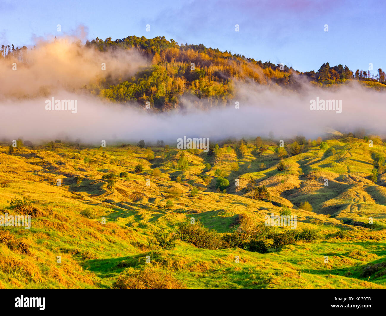 Upcountry sunset and fog on Maui Hawaii Stock Photo - Alamy