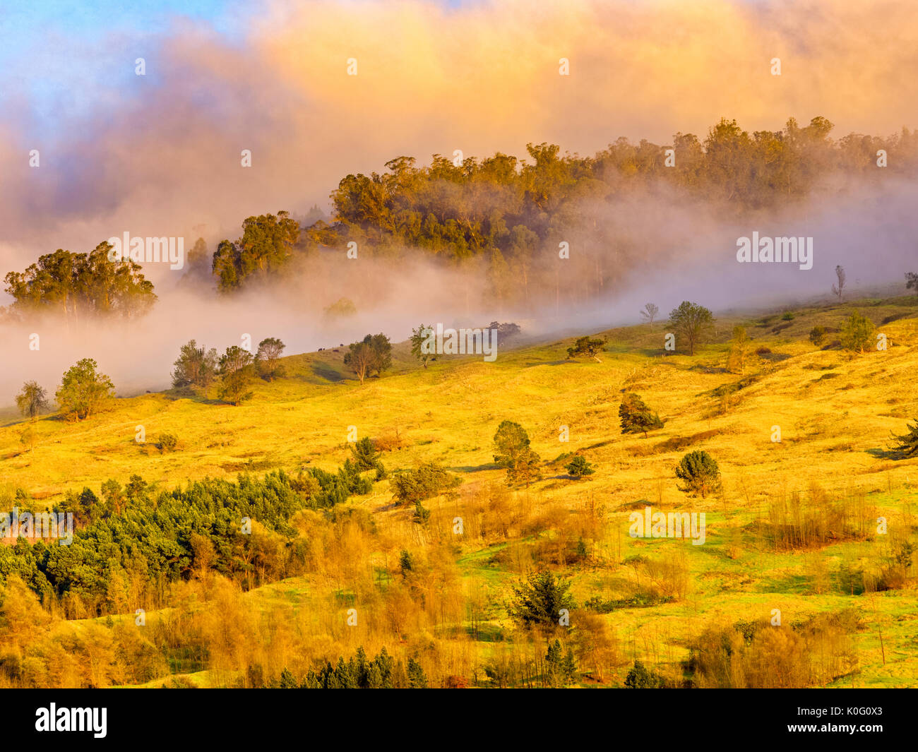 Upcountry sunset and fog on Maui Hawaii Stock Photo - Alamy