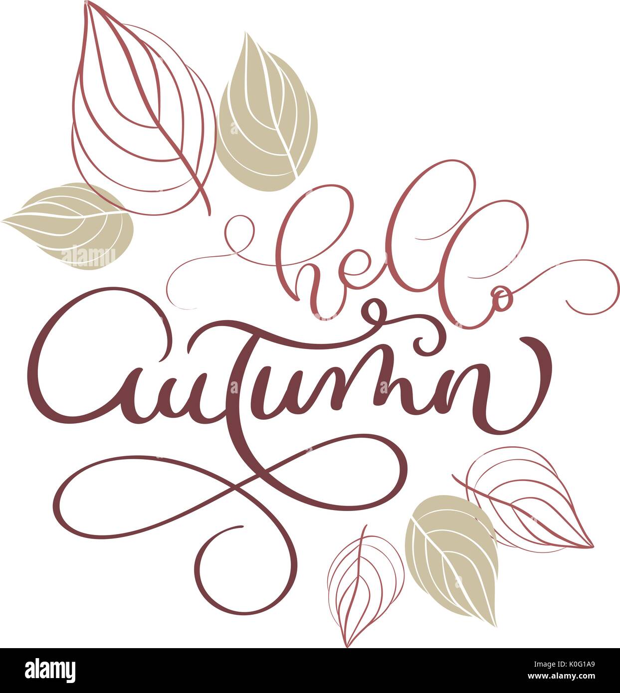 Hello autumn text and leaves on white background. Hand drawn ...