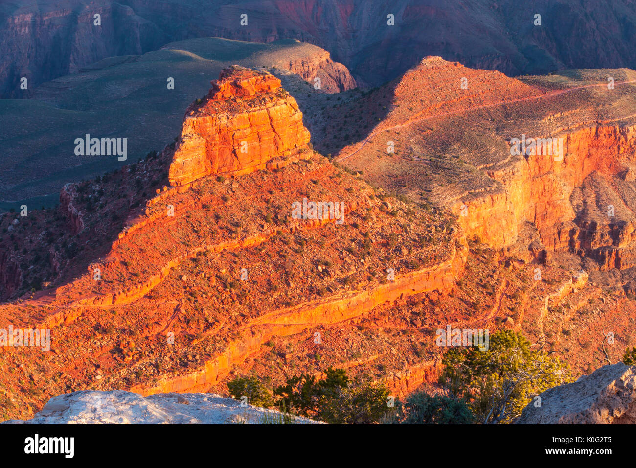 Cedar ridge trail hi-res stock photography and images - Alamy