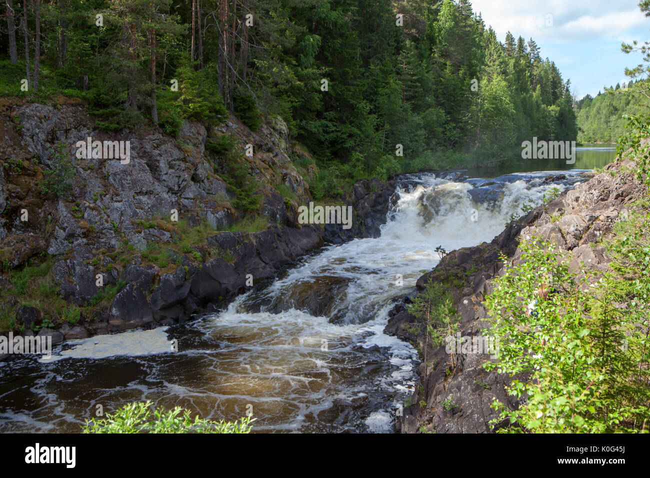 Kivach Falls is in Karelia, Russia. Basalt rocks fall downwards heavy ...