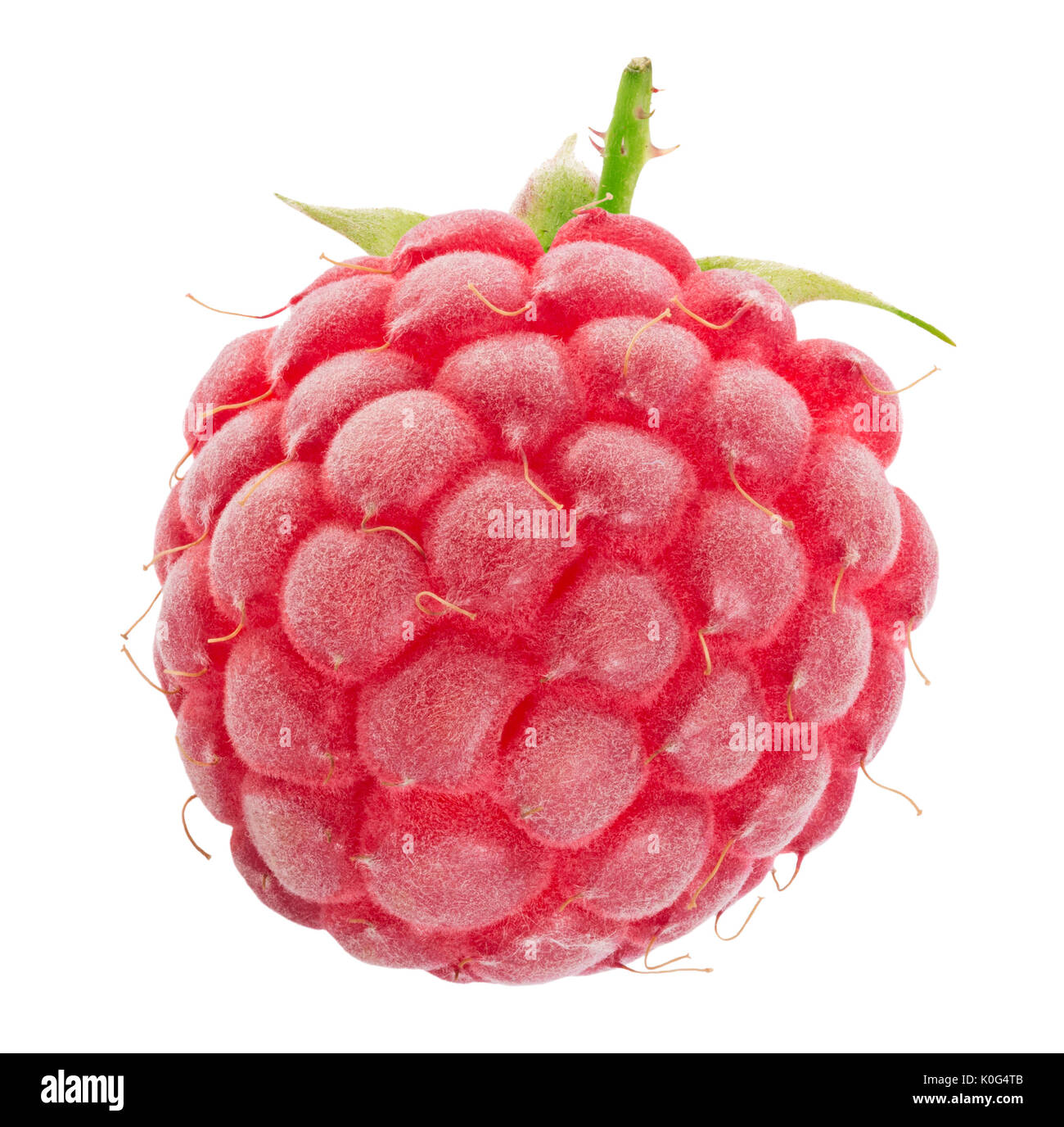 raspberry isolated on a white background Stock Photo - Alamy