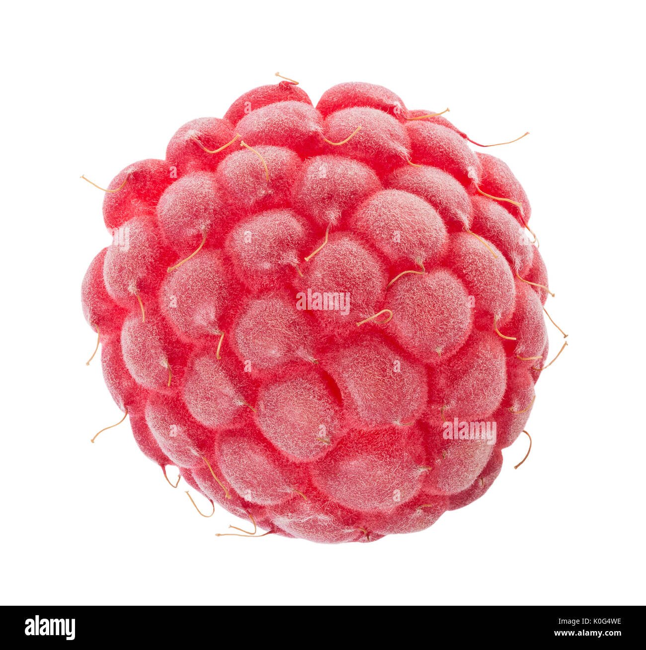 raspberry isolated on a white background Stock Photo - Alamy