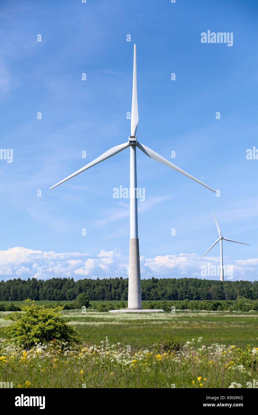 Windmill electric generating units are on the offshore field in Europe ...